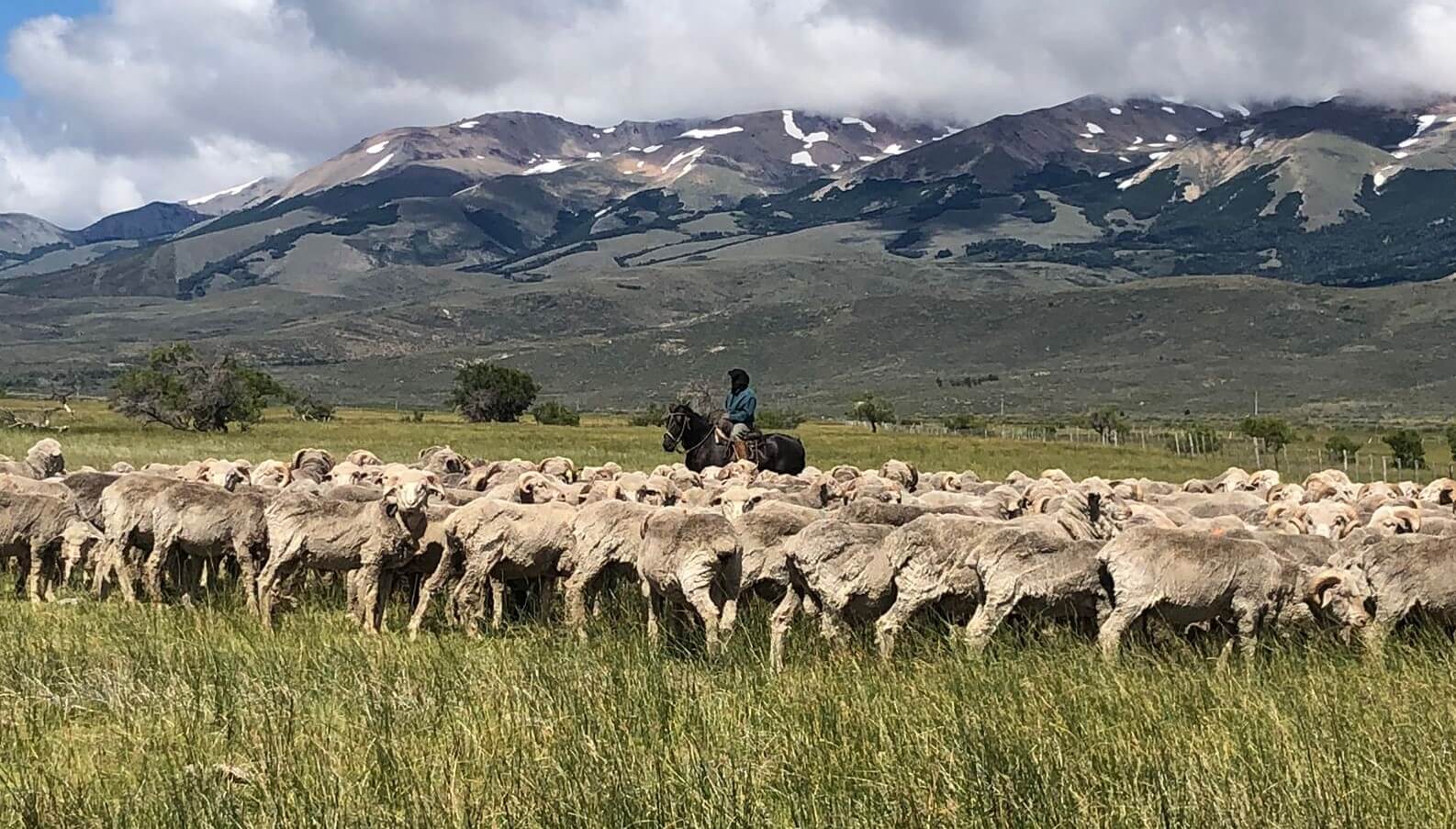 Quiénes son los mayores terratenientes de la Patagonia argentina