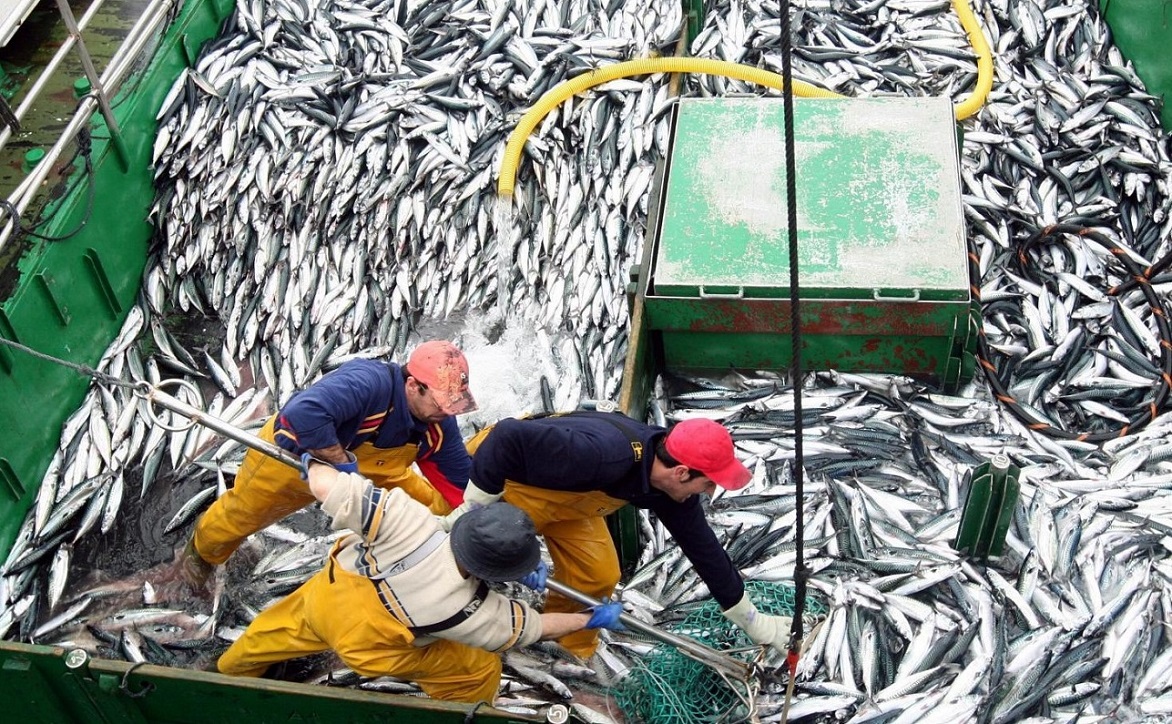 Según Clarín: “El Brexit no cambiará el estatus de Malvinas pero puede ...